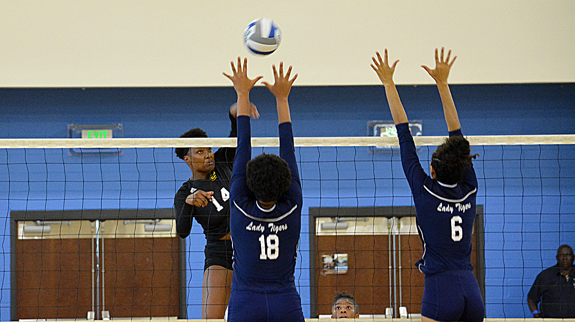 Tess Reynolds - Women's Volleyball - Grambling State University Athletics