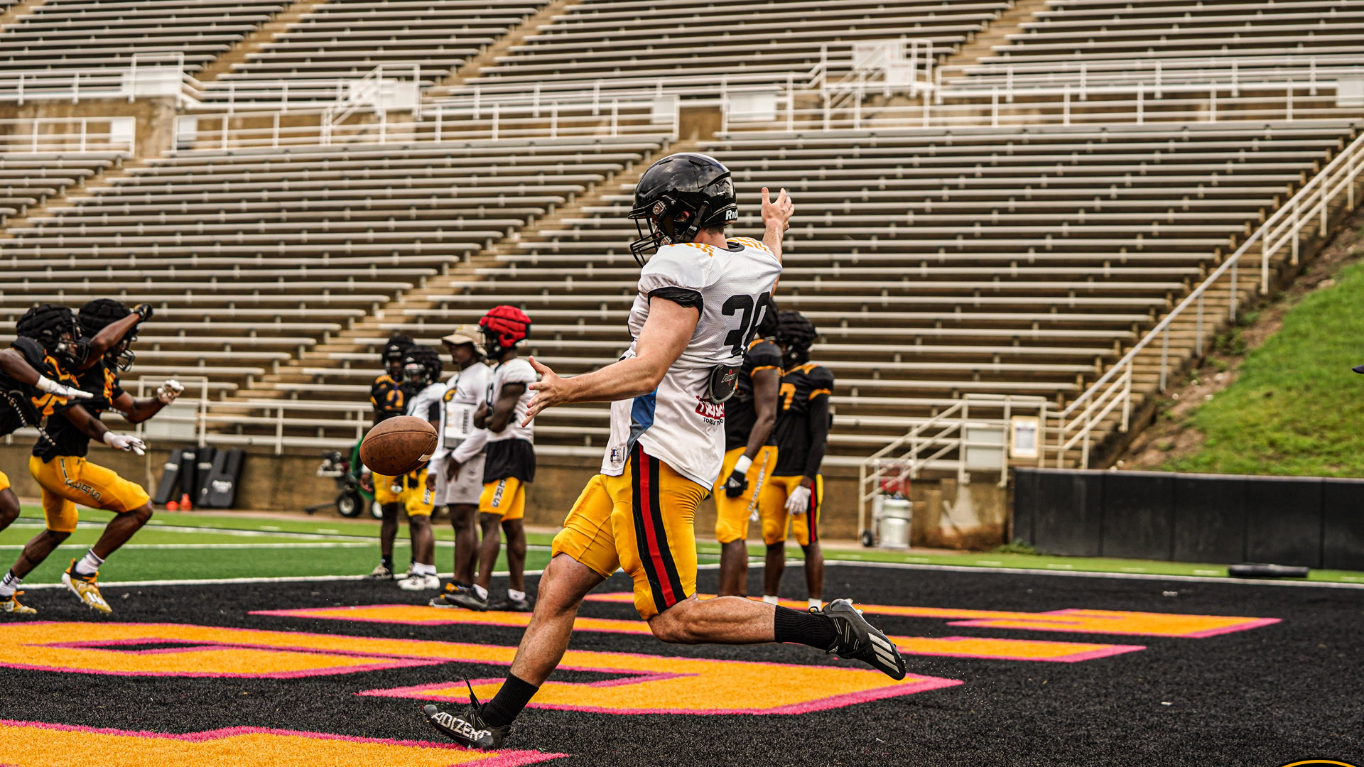 James Harris Grambling Quarterback