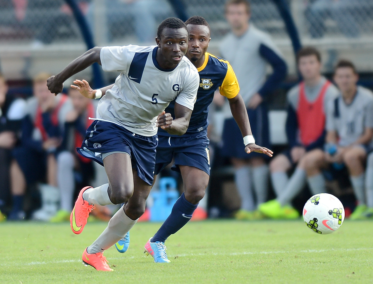 Basuljevic Named Soccer America Freshman of the Year - Georgetown ...