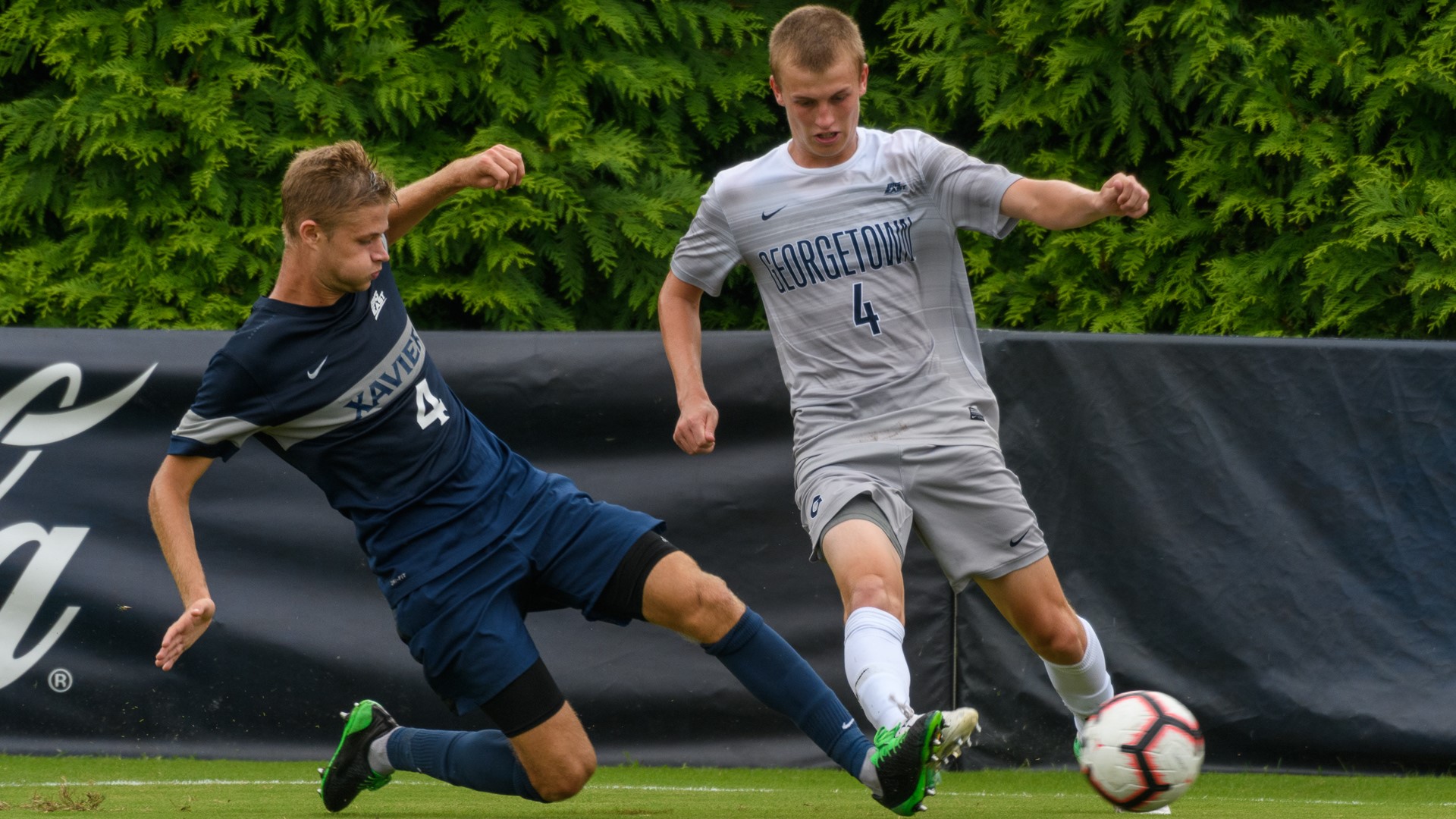 Sean O'Hearn - Men's Soccer - Georgetown University Athletics