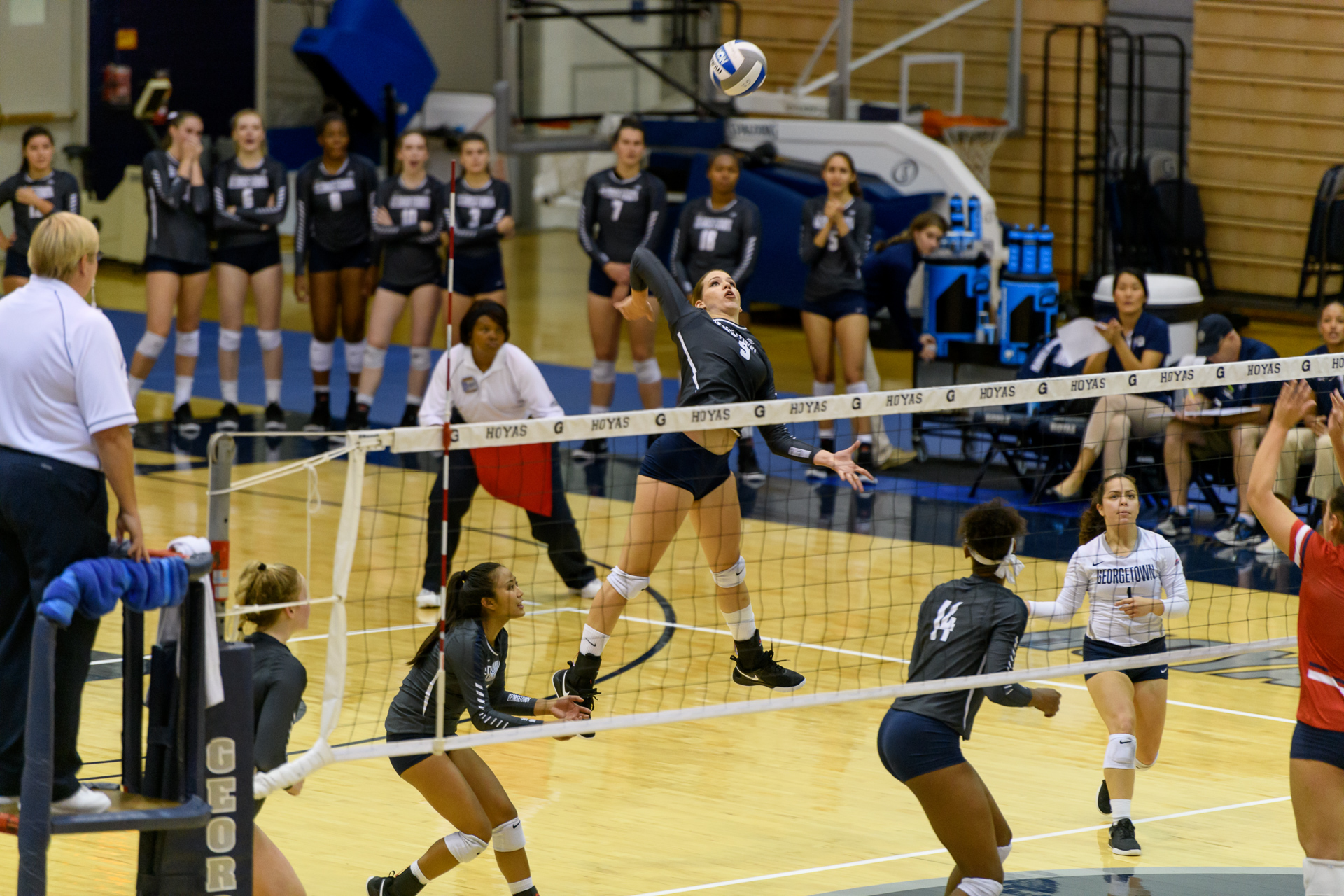Iva Vujosevic - Women's Volleyball - Georgetown University Athletics
