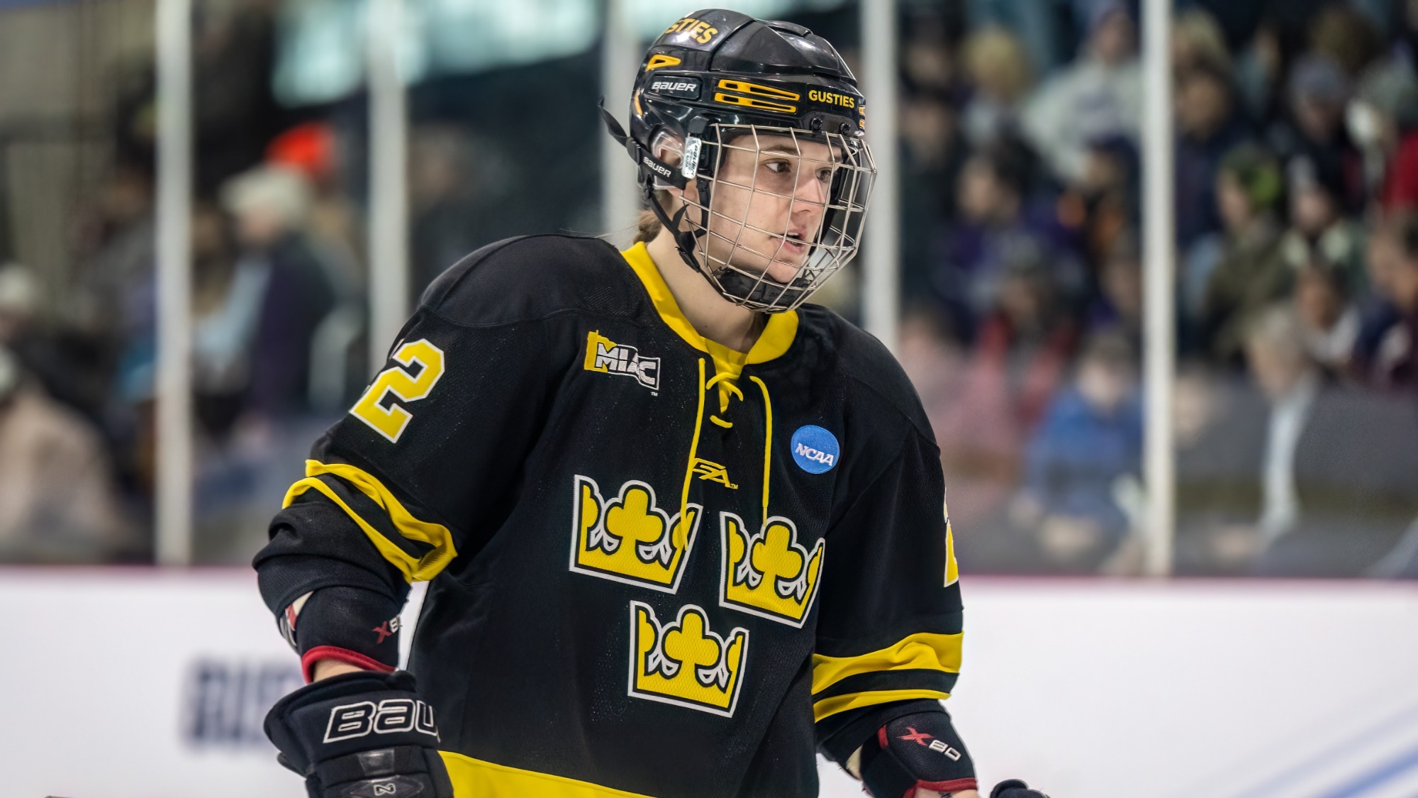 Lindsey Bjerke - 2022-23 - Women's Hockey - Gustavus Adolphus College