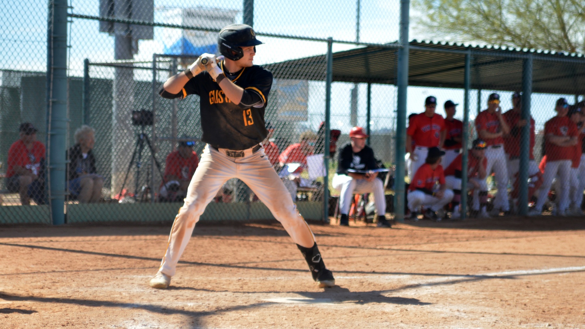 Bryce Novak - 2024 - Baseball - Gustavus Adolphus College