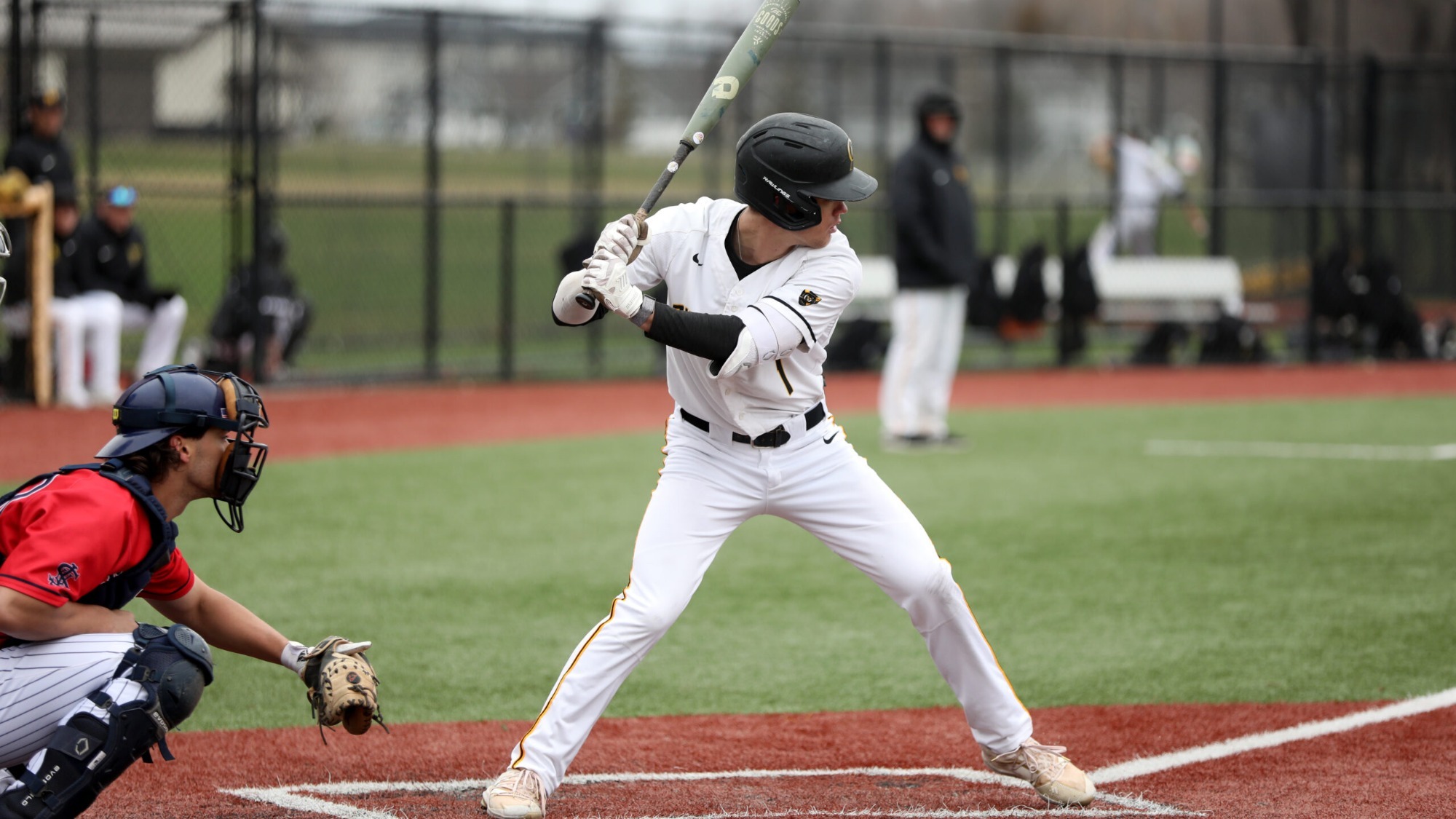 Gavin Baker - 2024 - Baseball - Gustavus Adolphus College