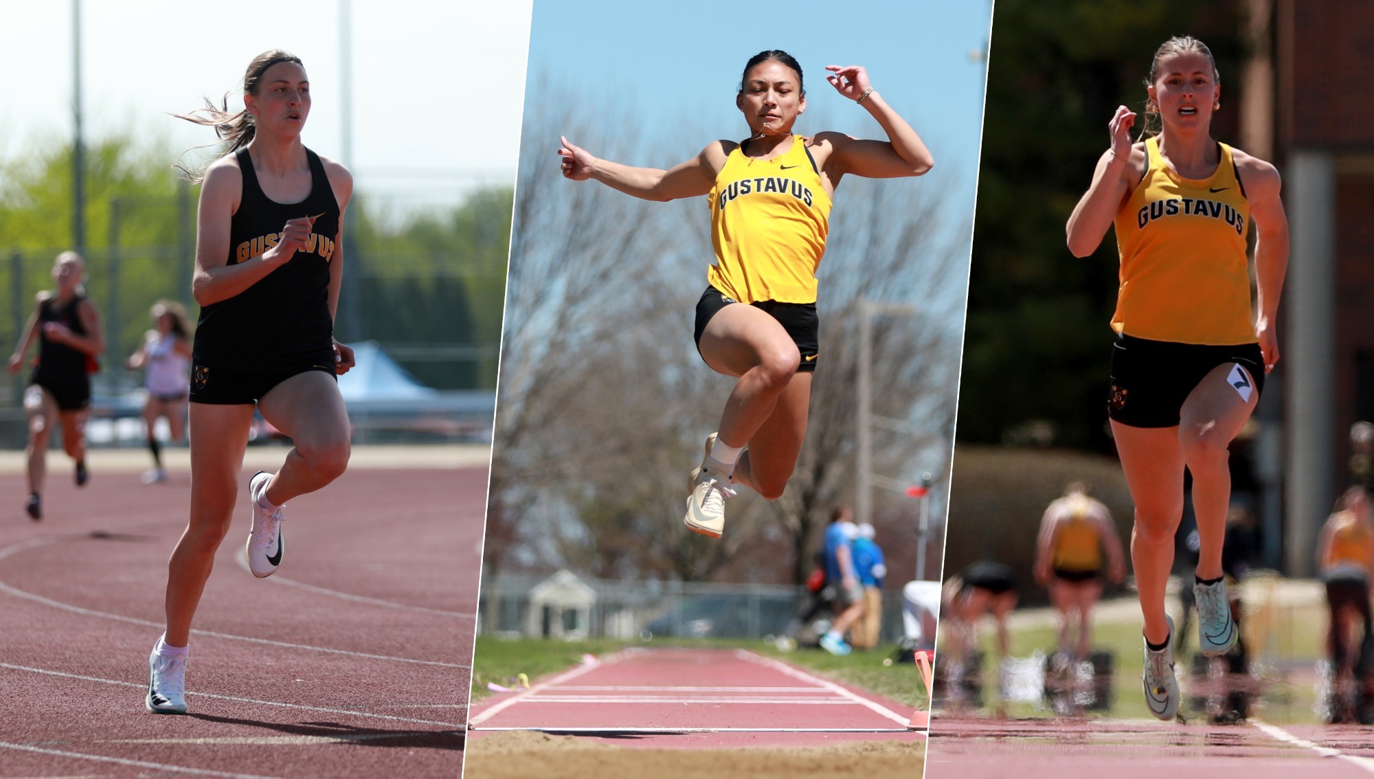 Five Gusties Named CSC Academic All-District in Women’s Cross Country ...