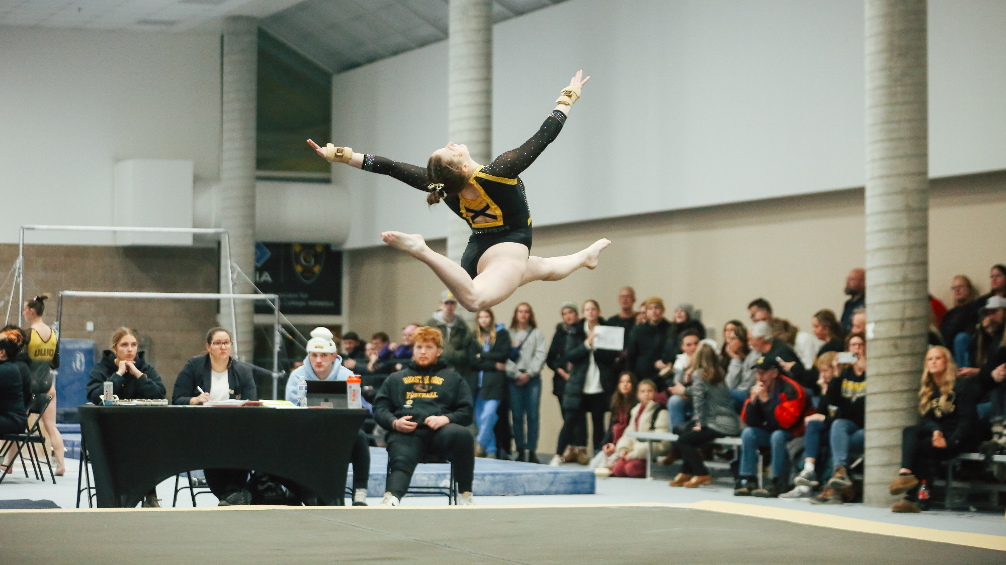 Gymnastics Named to WIAC Scholastic Honor Roll - Gustavus Adolphus College
