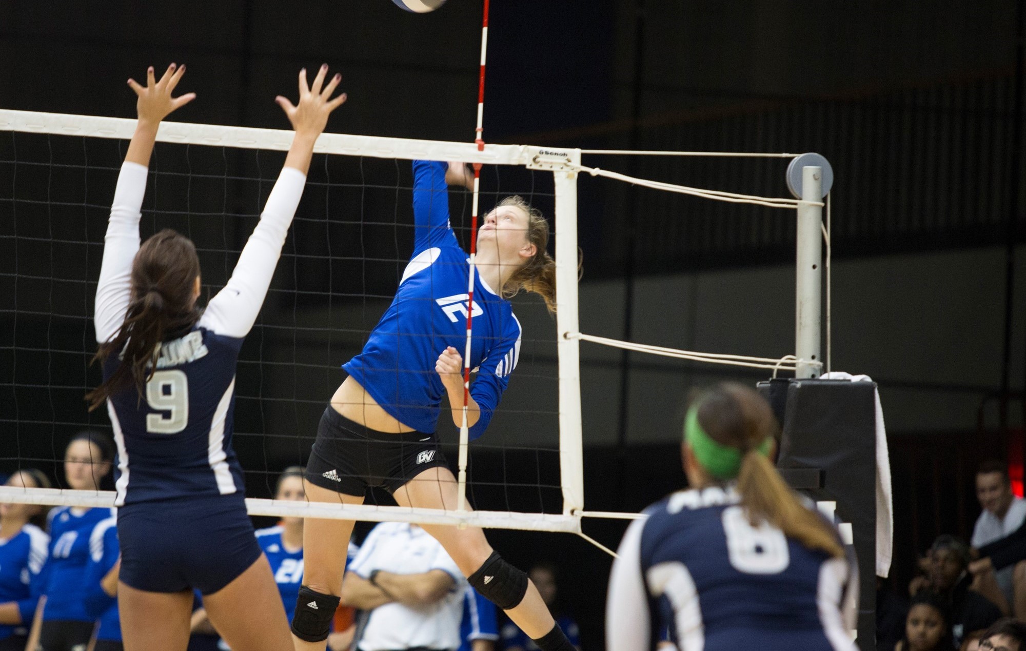 Abby Aiken - 2014 - Women's Volleyball - Grand Valley State University ...