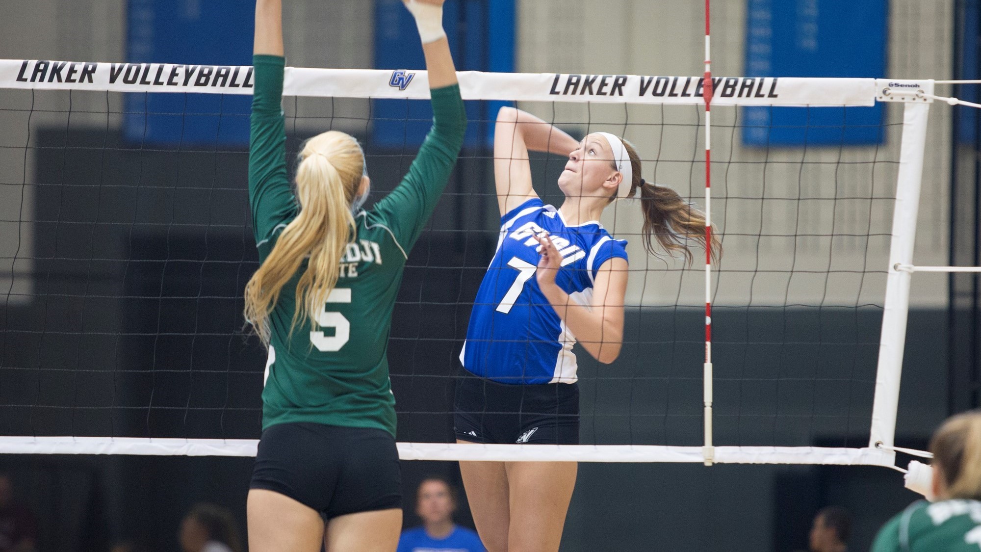 Danielle McCormick - 2017 - Women's Volleyball - Grand Valley State ...