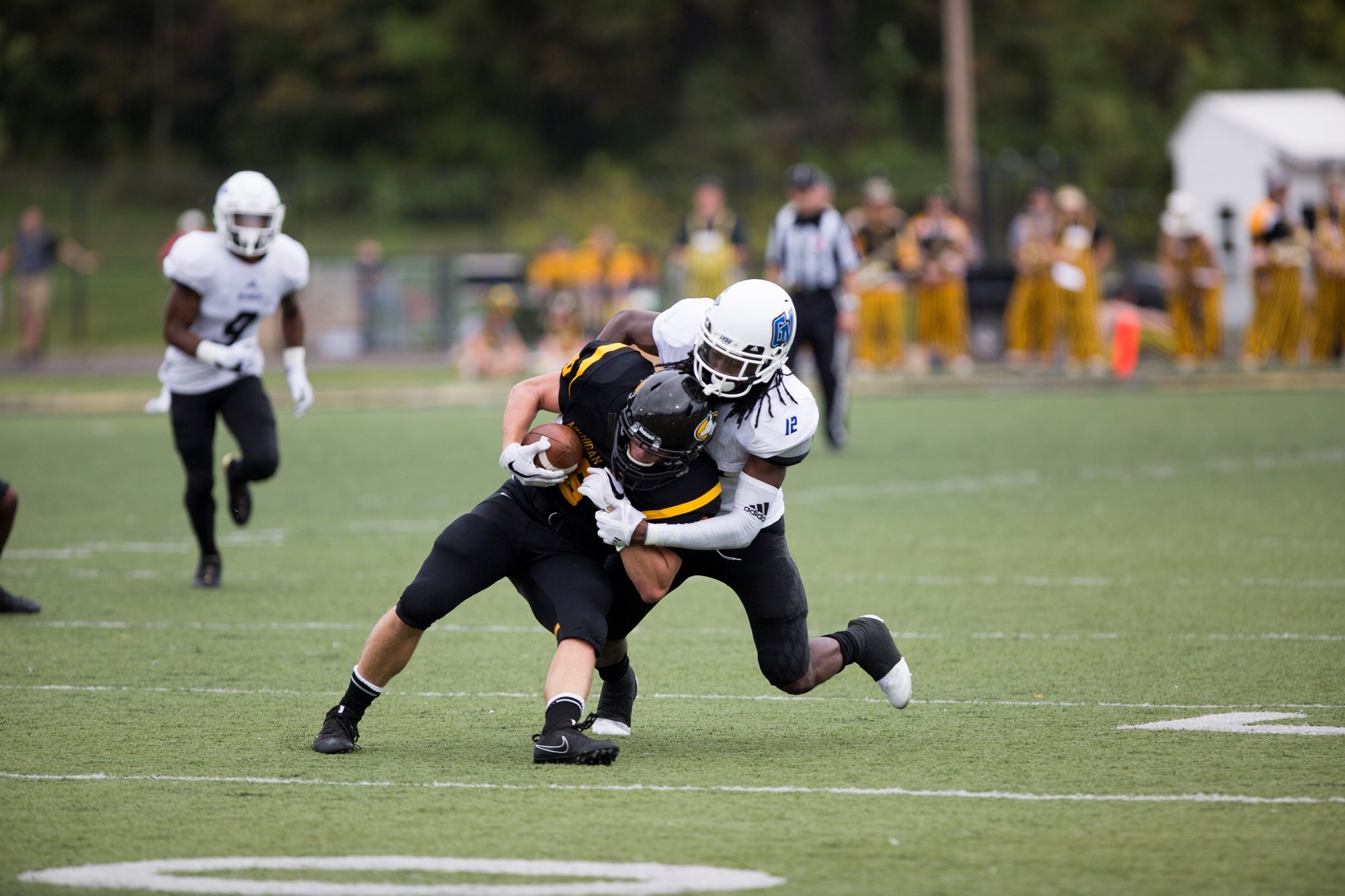 DaMario Johnson - 2019 - Football - Grand Valley State University Athletics