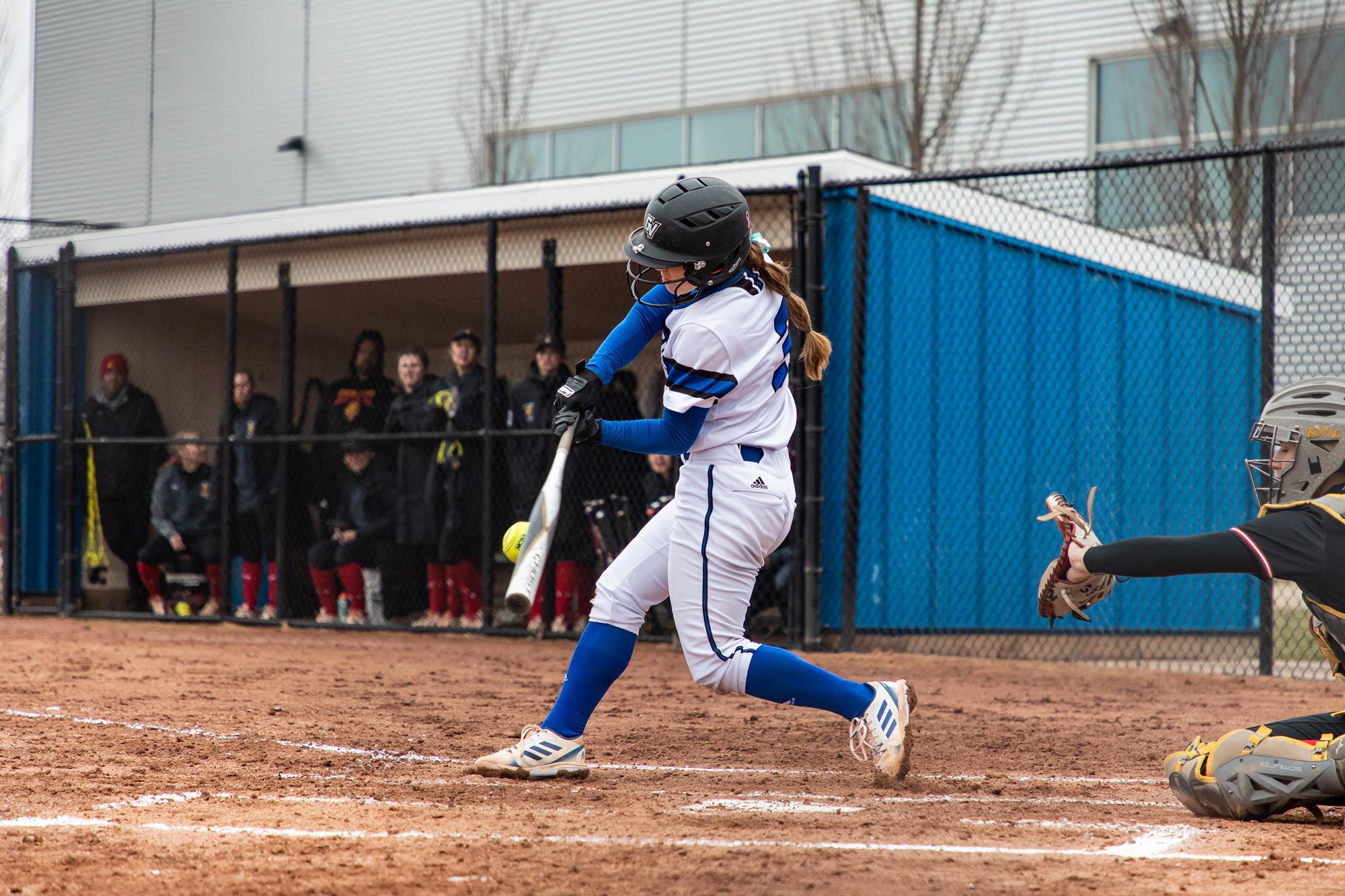 No. 10 Softball splits with Ferris State Saturday - Grand Valley State ...