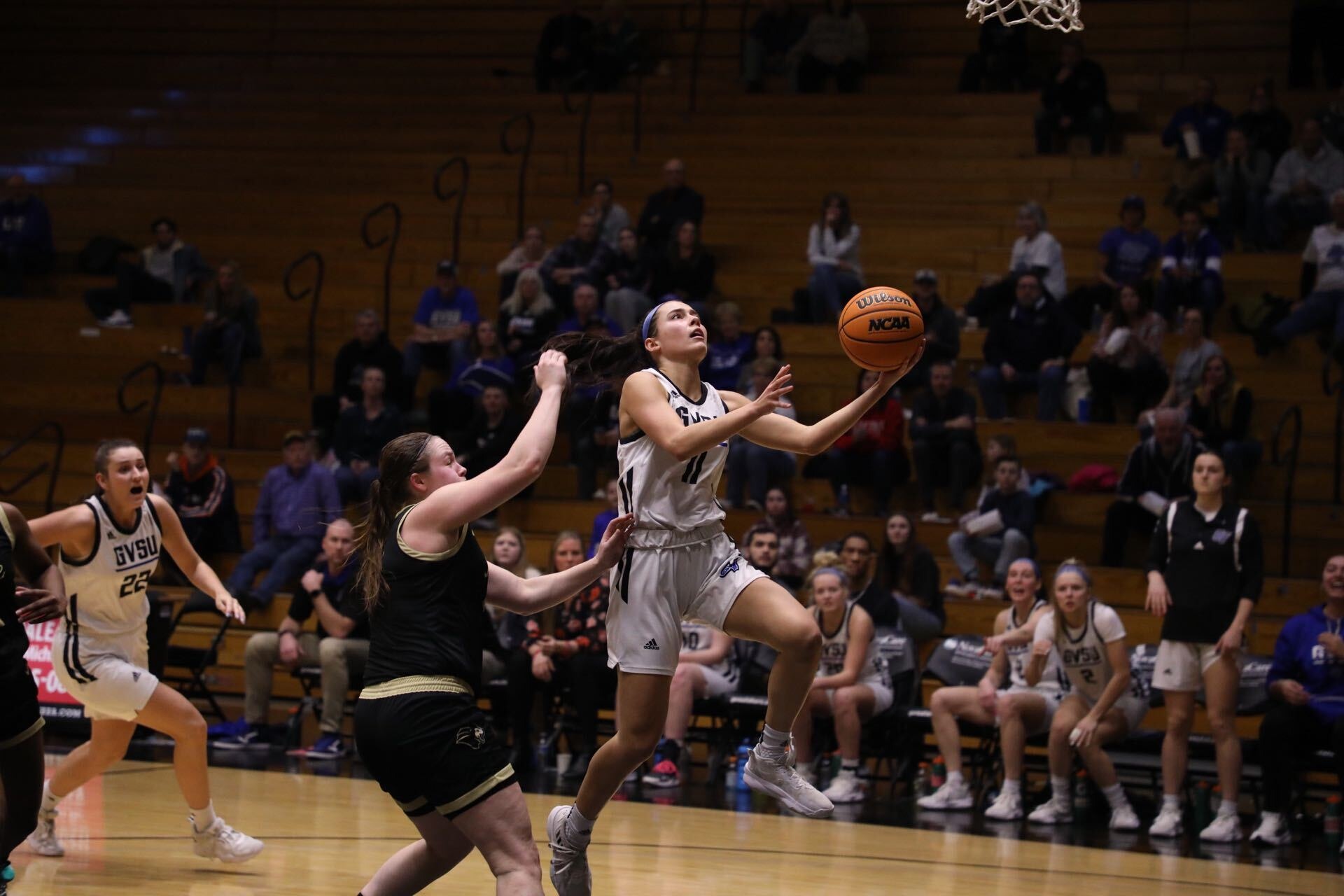 Ellie Droste - 2024-25 - Women's Basketball - Grand Valley State ...