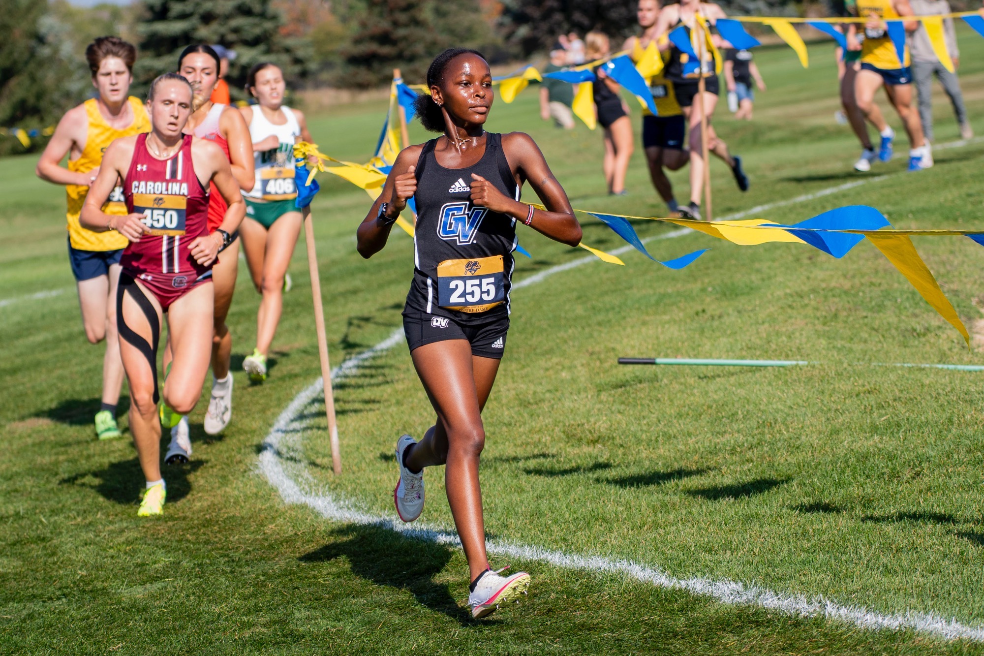 Cross Country Claims 23rd Men's and 24th Women's GLIAC Championship ...