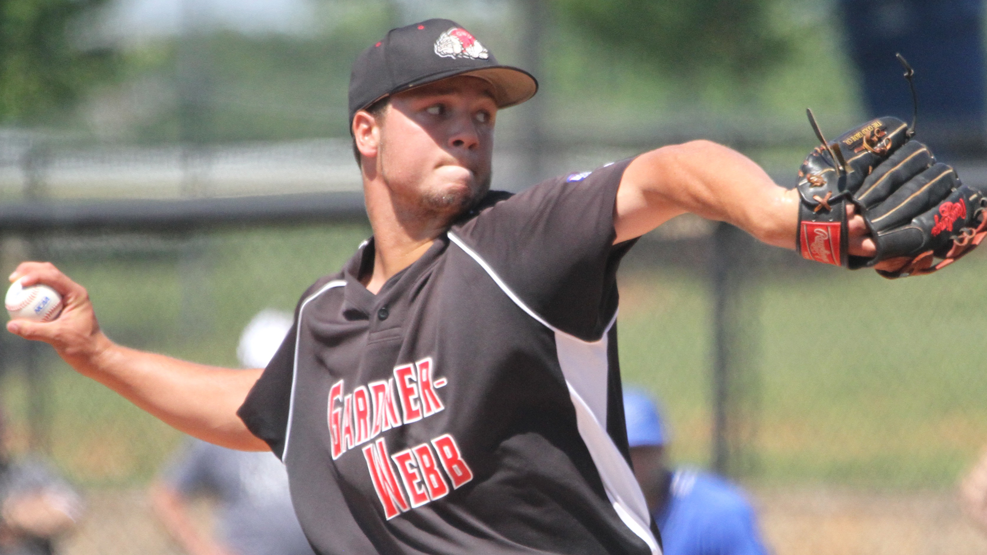 Taylor Goodwin - Baseball - Gardner-Webb University Athletics