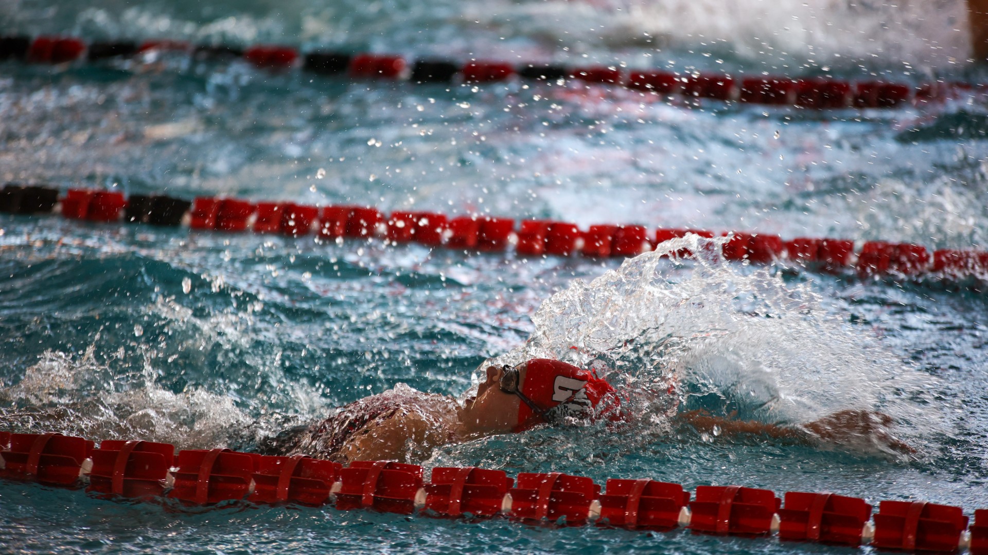 Delaney Willette - Swimming - Gardner-Webb University Athletics