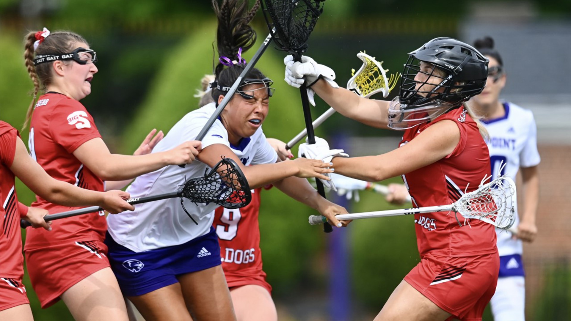 Danielle Burke - Women's Lacrosse - Gardner-Webb University Athletics