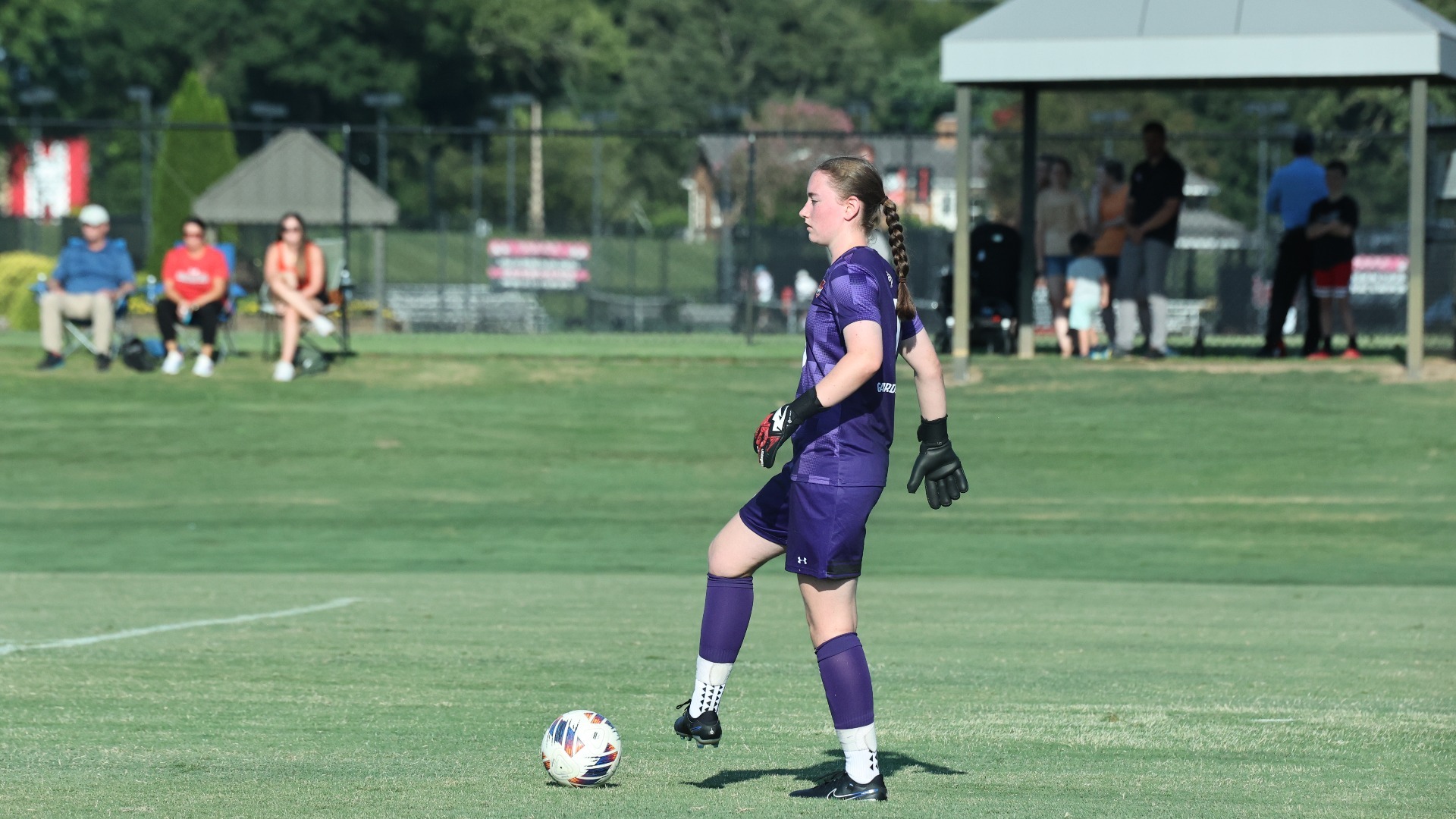 Martin Sets Saves Record in Loss to Clemson - Gardner-Webb University ...