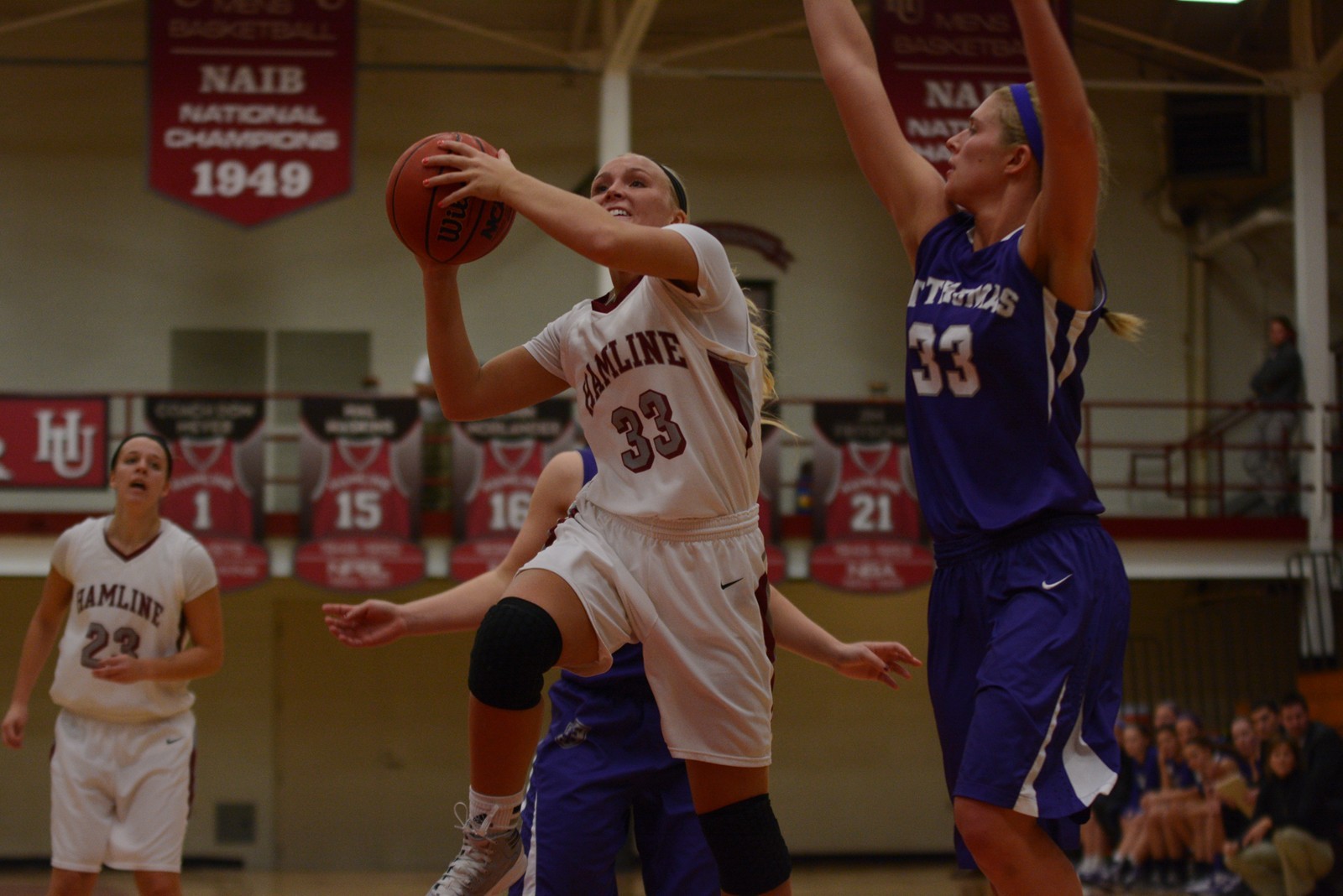Erika Moede - 2013-14 - Women's Basketball - Hamline University Athletics