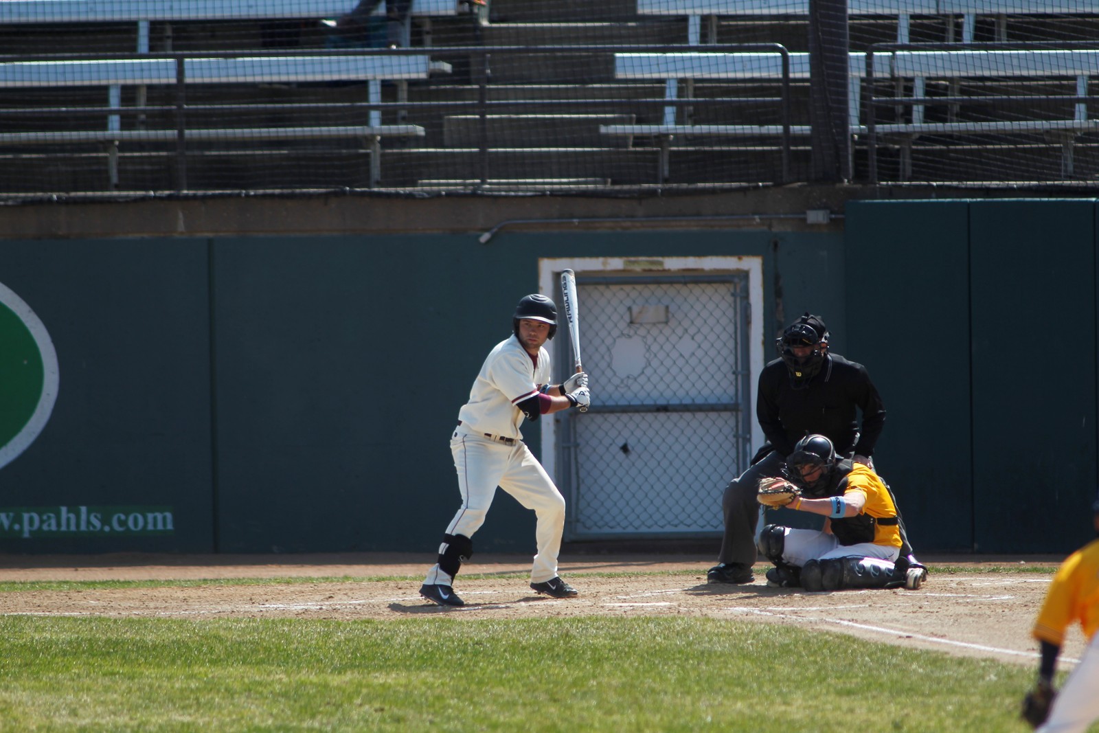 Andy Sammon - 2016 - Baseball - Hamline University Athletics