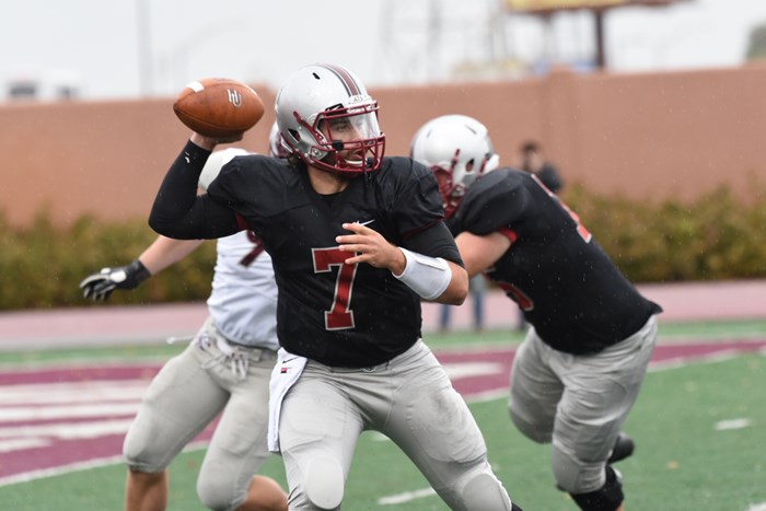 Justice Spriggs - 2018 - Football - Hamline University Athletics