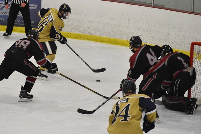 Parsa Monsef - 2016-17 - Men's Ice Hockey - Hamline University Athletics