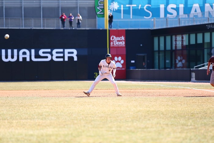 Rick Tormey - 2017 - Baseball - Hamline University Athletics
