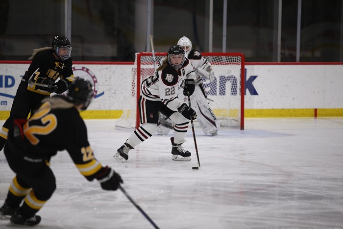 Dani Perry - 2018-19 - Women's Ice Hockey - Hamline University Athletics