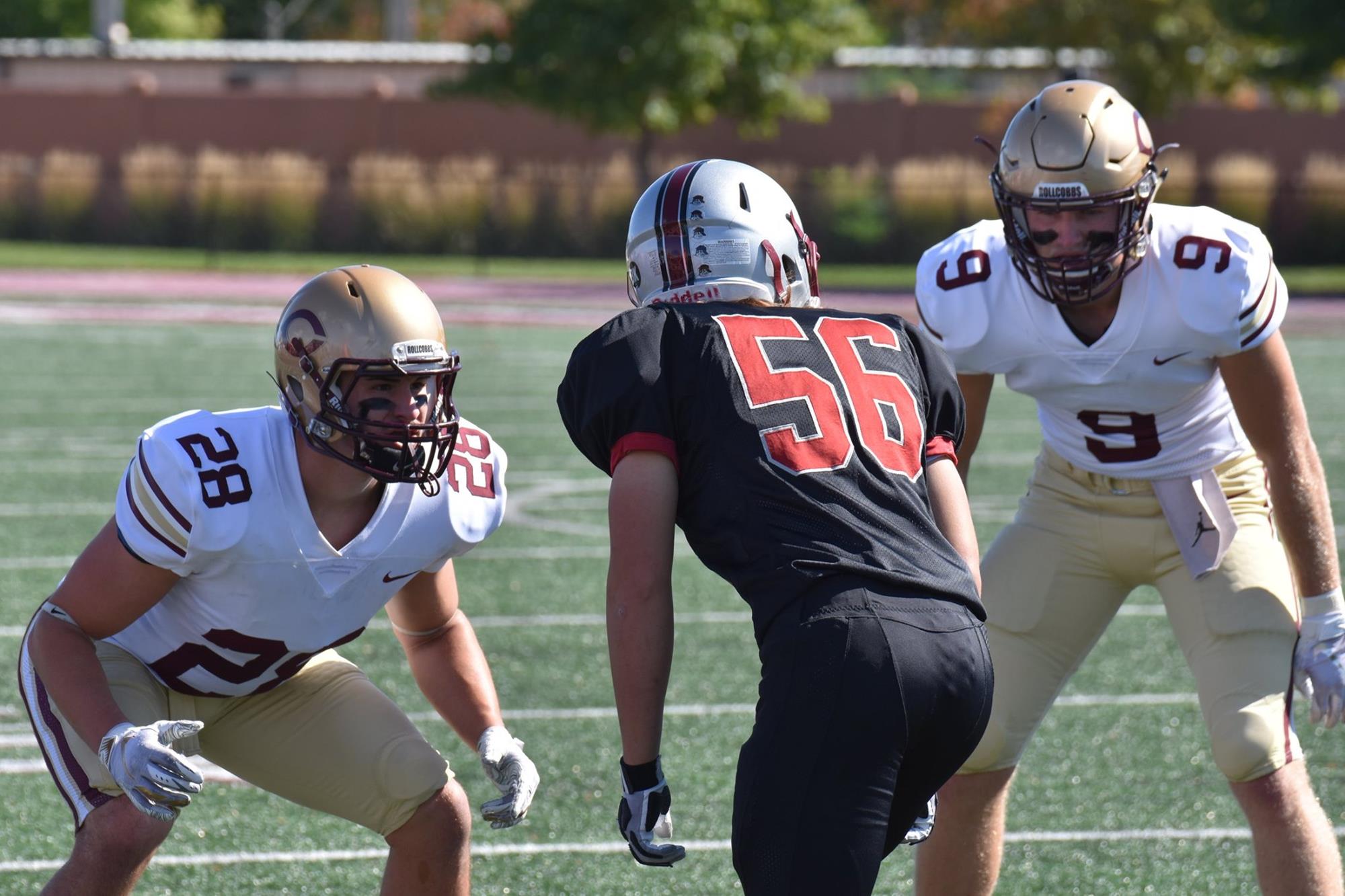 Logan Peterson - 2019 - Football - Hamline University Athletics
