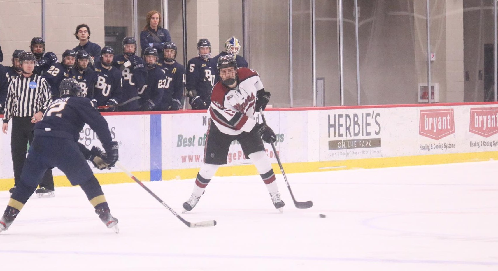 Luke Erickson - 2019-20 - Men's Ice Hockey - Hamline University Athletics