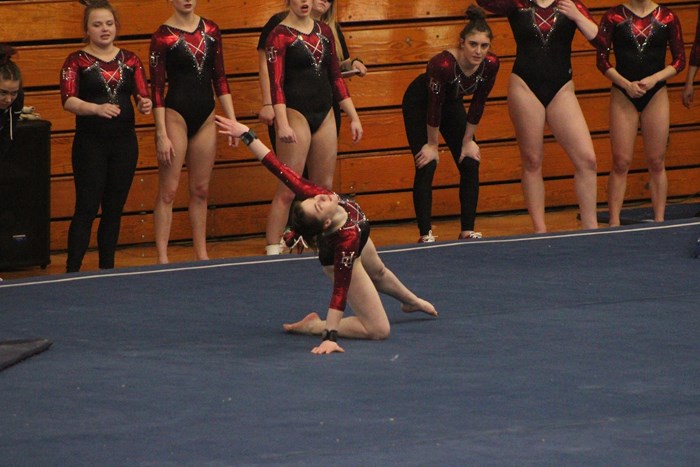 Meghan Webb - 2019 - Women's Gymnastics - Hamline University Athletics