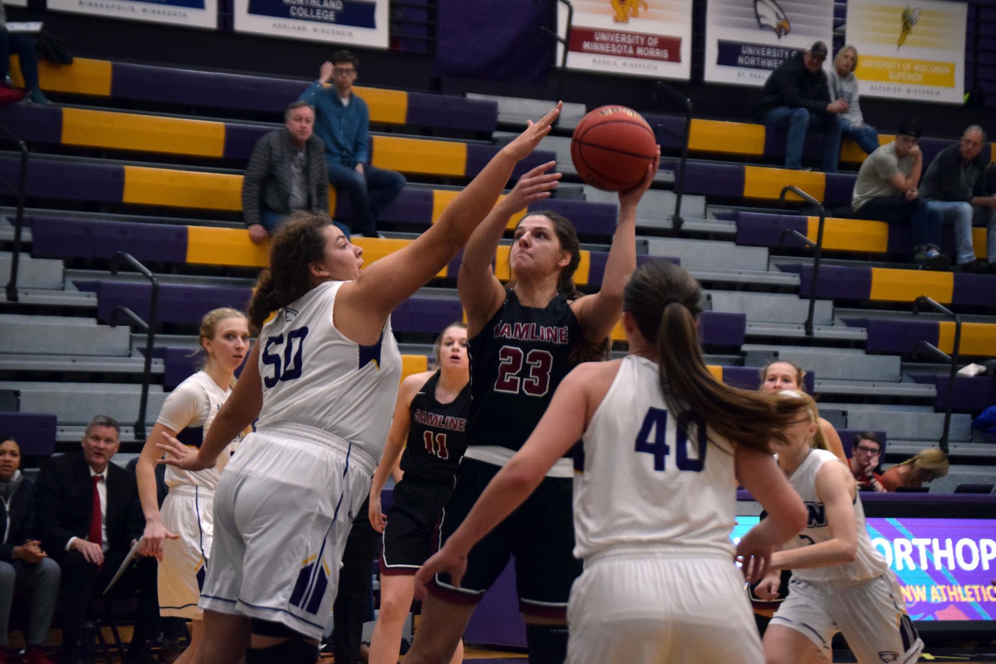 Tess Hauer - 2022-23 - Women's Basketball - Hamline University Athletics