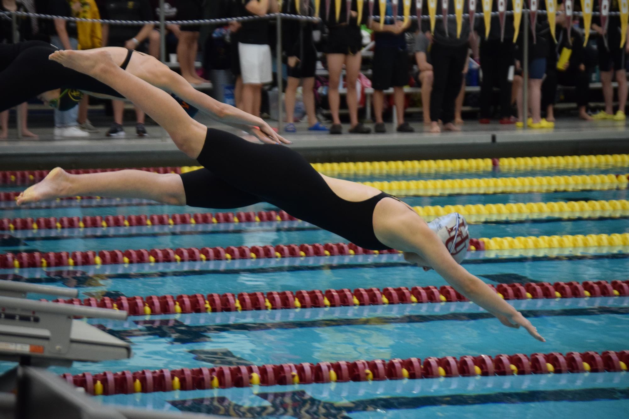 Rachel Peterson - 2020-21 - Women's Swimming & Diving - Hamline ...