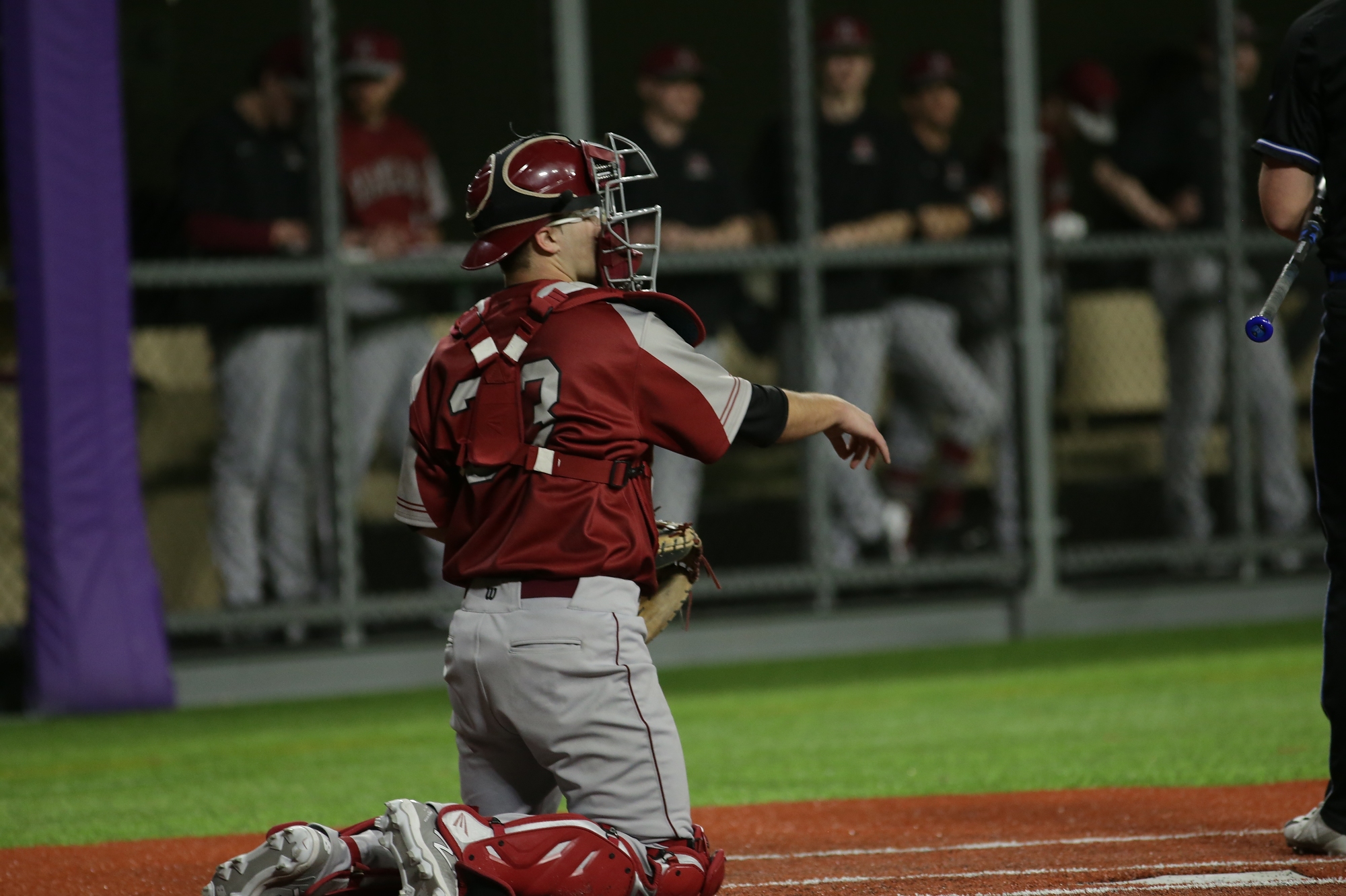 Cyle Hartwig - 2020 - Baseball - Hamline University Athletics