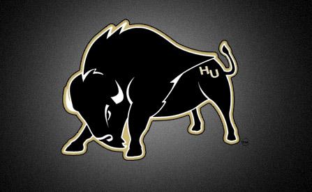Harding Bison