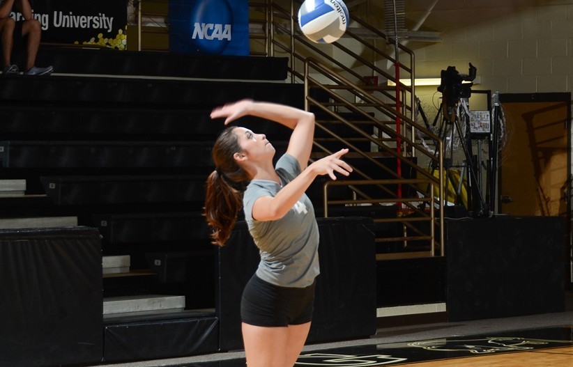 Bianca Trevino - Volleyball - Harding University Athletics