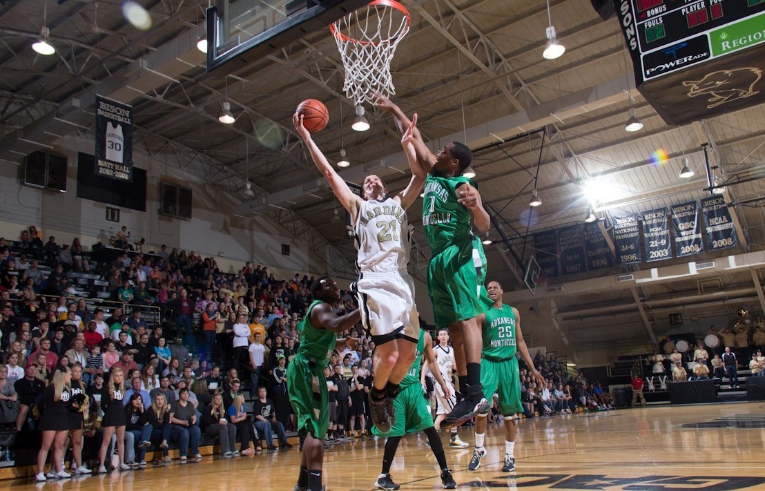 Hayden Johnson - Men's Basketball - Harding University Athletics