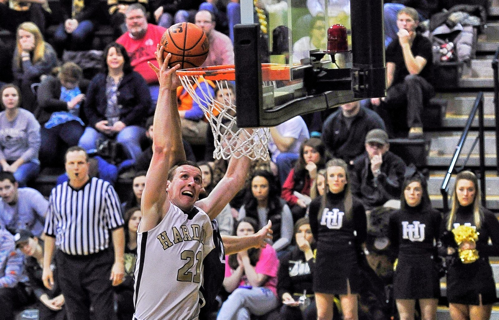 Hayden Johnson - Men's Basketball - Harding University Athletics