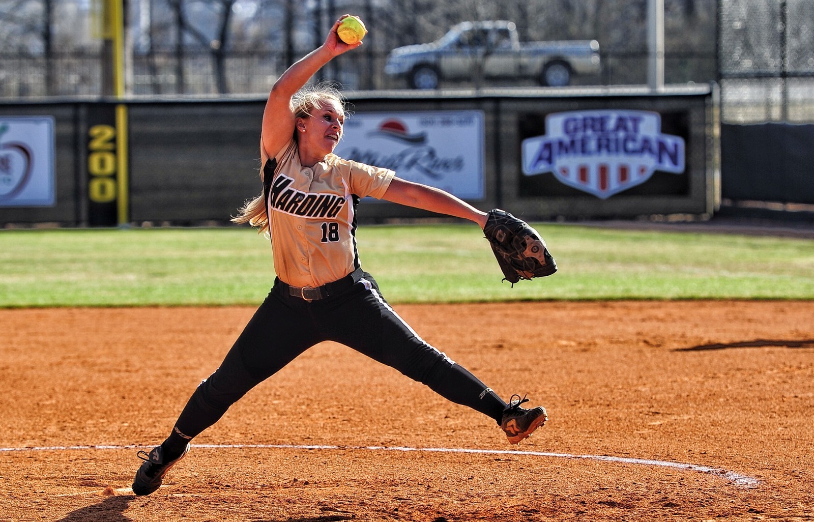 Amber Rollins - Softball - Harding University Athletics