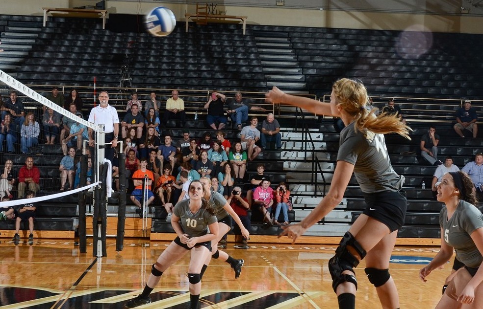 Erica Heim - Volleyball - Harding University Athletics