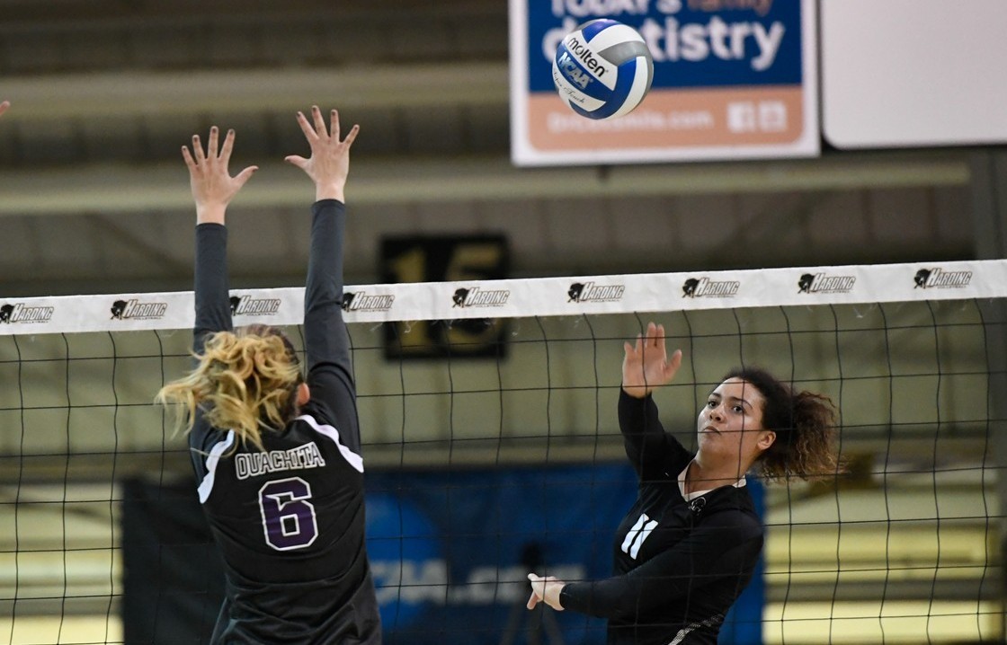Alex Nolan - Volleyball - Harding University Athletics