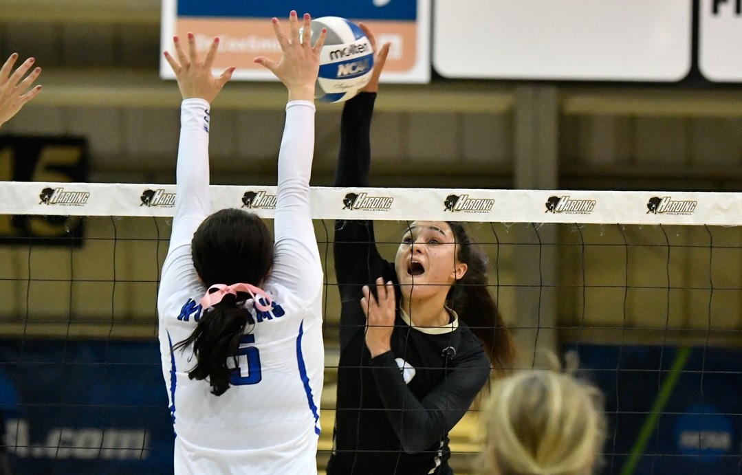 Selena Foster - Volleyball - Harding University Athletics