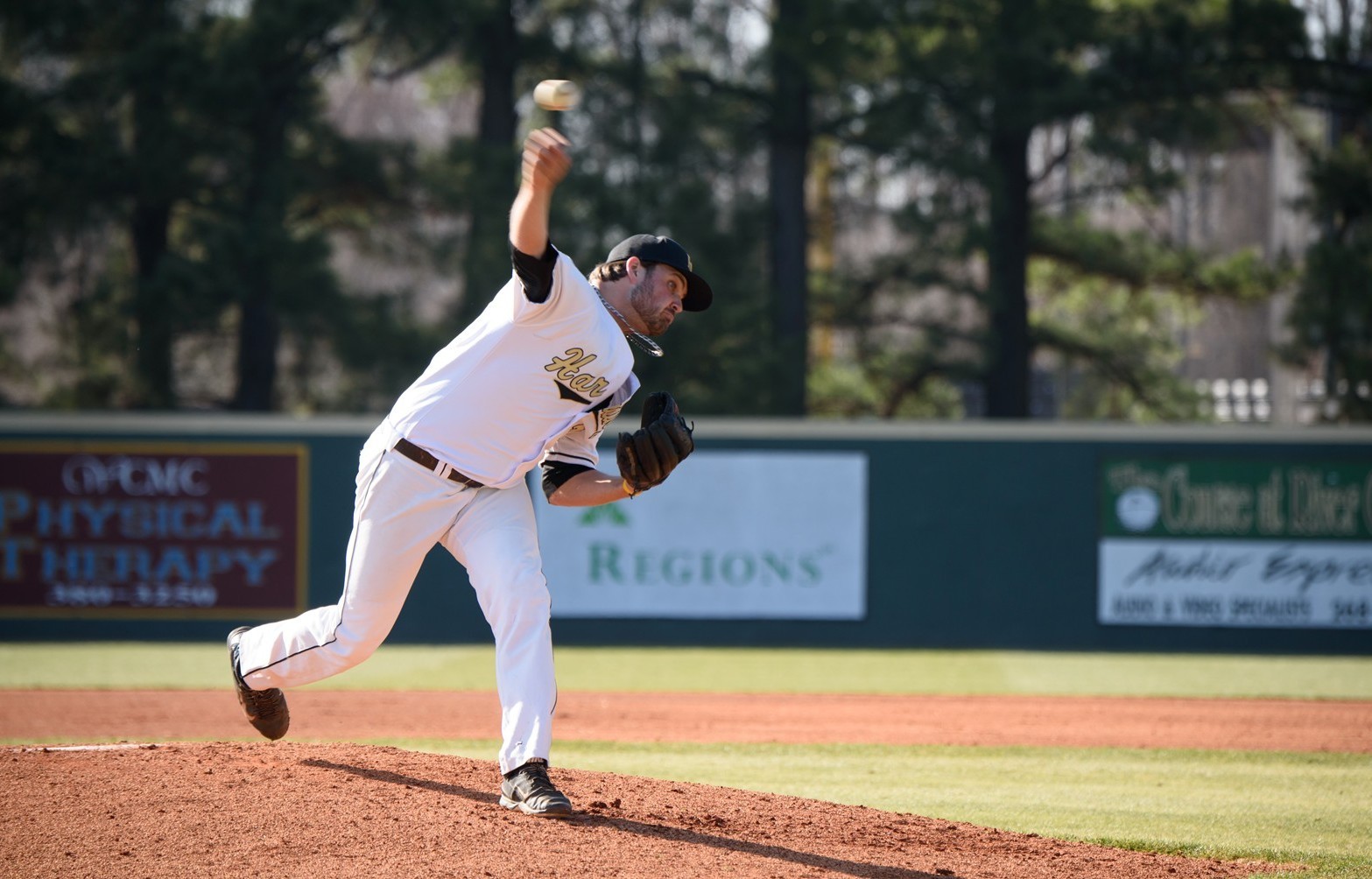 Hunter Payne - Baseball - Harding University Athletics