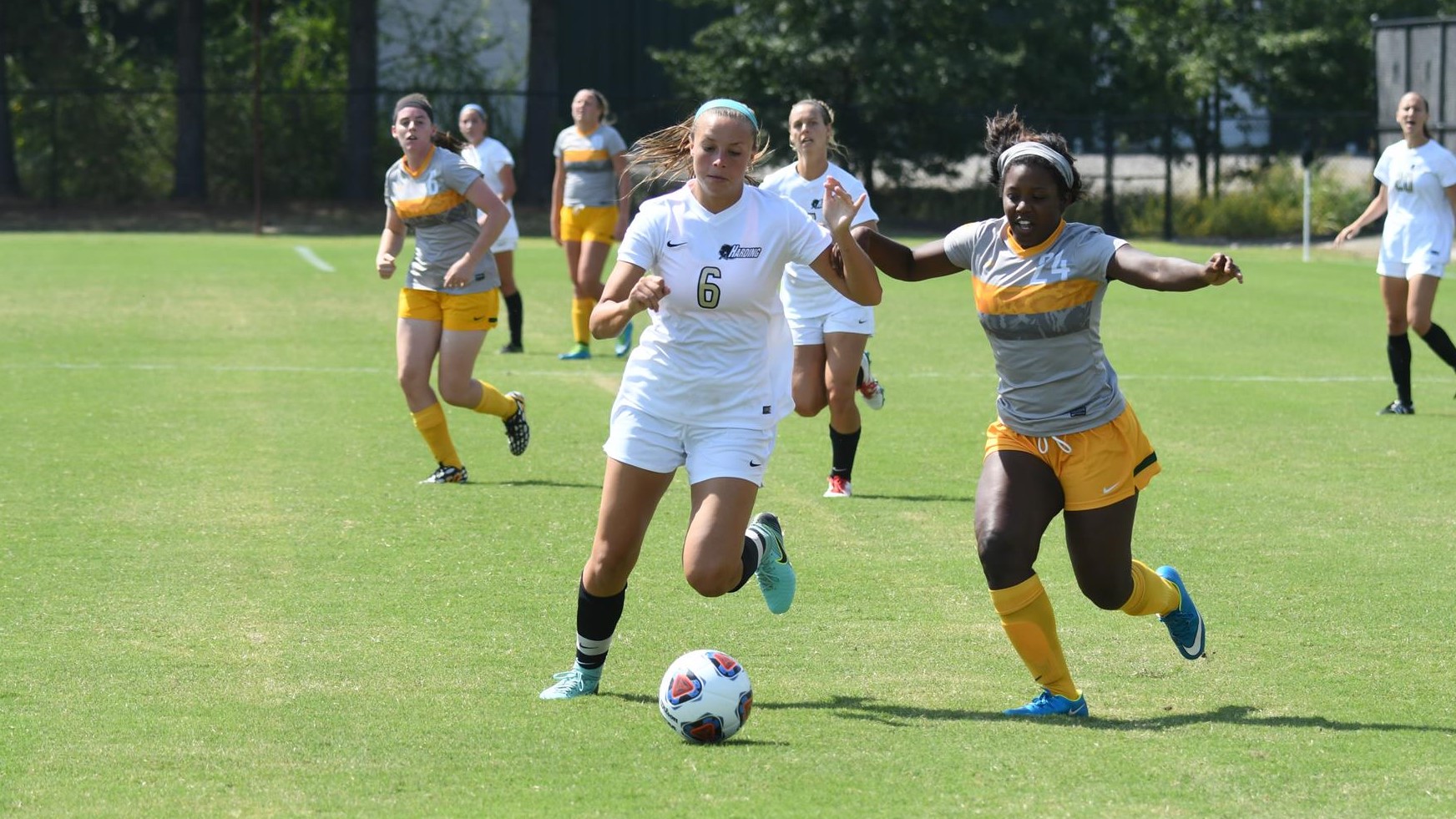 Amelia Lewis - Women's Soccer - Harding University Athletics