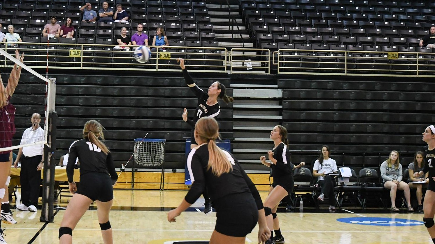 Annesly Young - Volleyball - Harding University Athletics