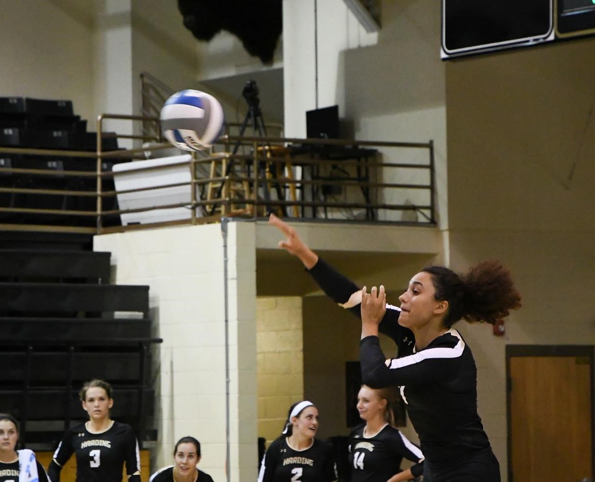 Selena Foster - Volleyball - Harding University Athletics