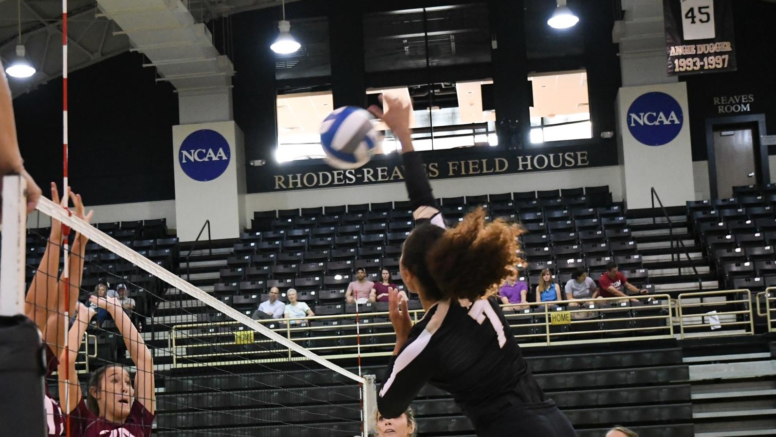 Selena Foster - Volleyball - Harding University Athletics