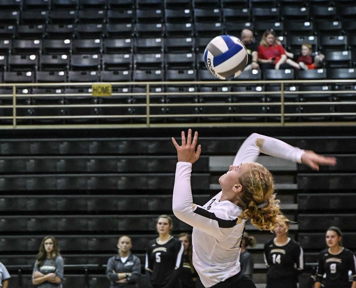 Taylor Lake - Volleyball - Harding University Athletics