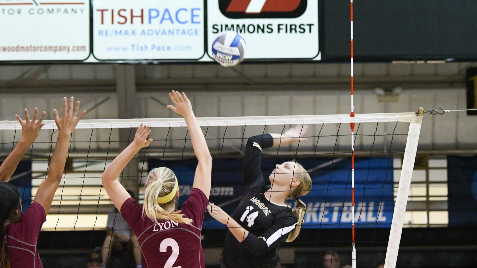 Taylor Mounts - Volleyball - Harding University Athletics