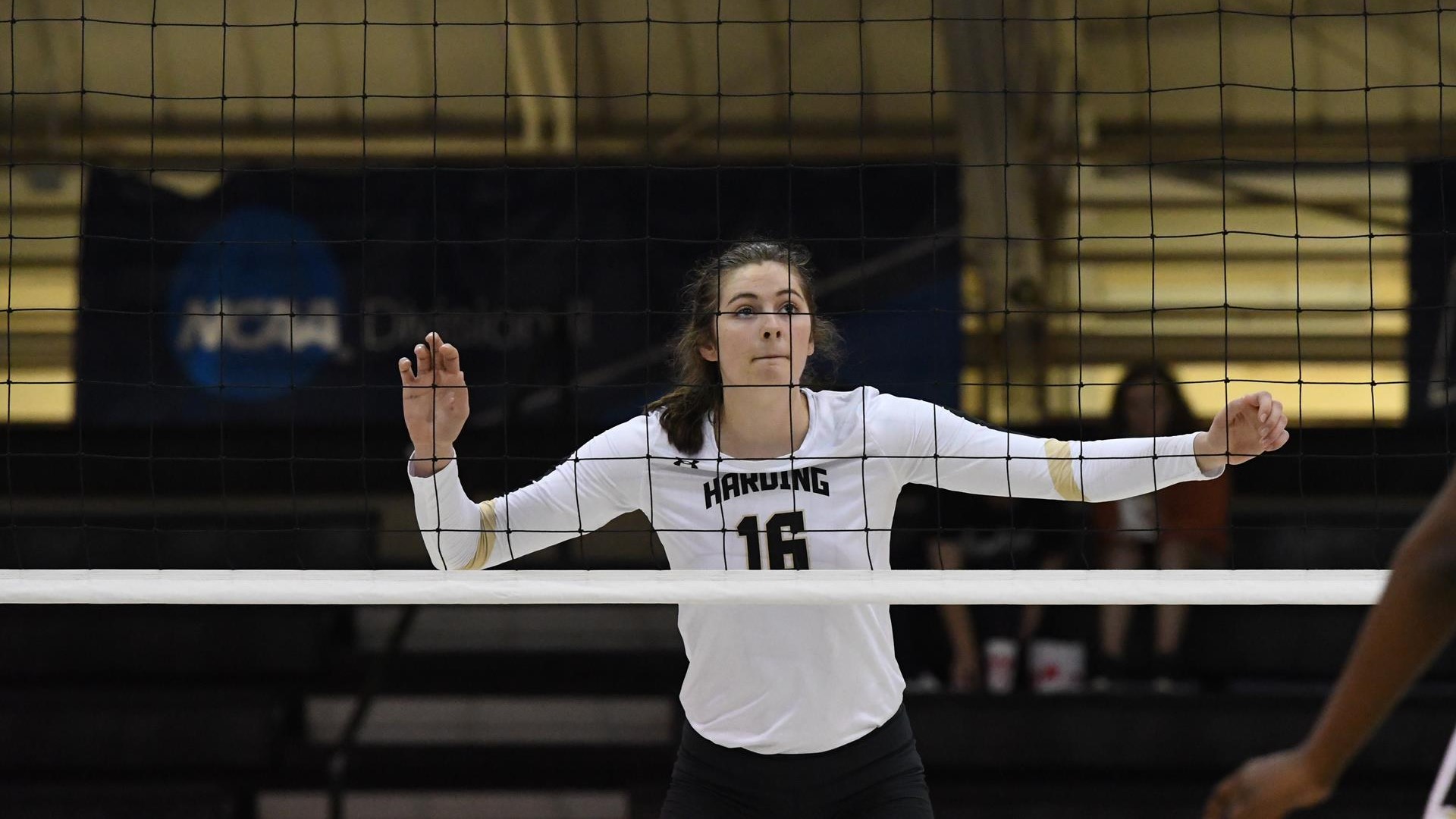 Cooper Monn - Volleyball - Harding University Athletics