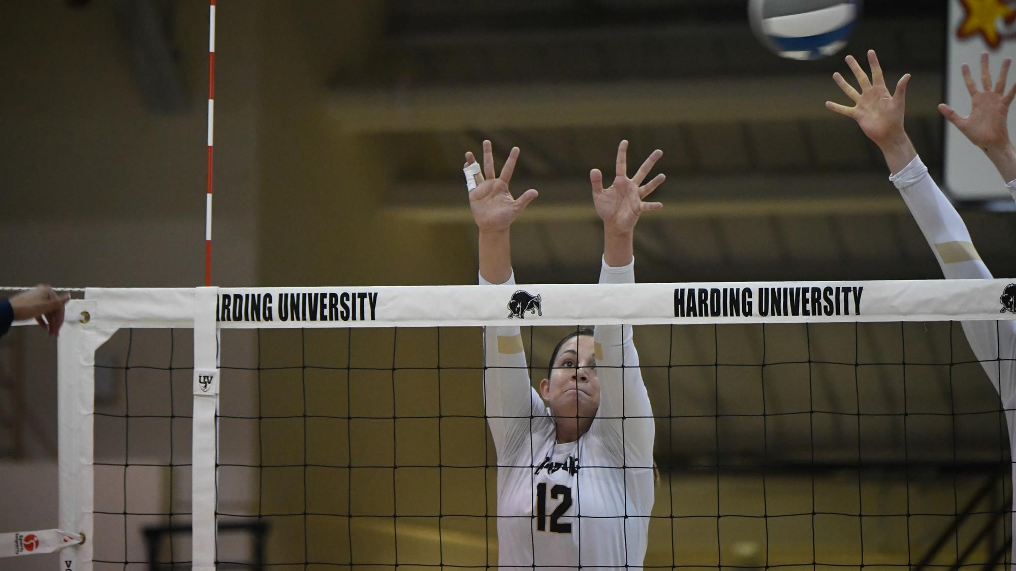 Emma Reeves - Volleyball - Harding University Athletics