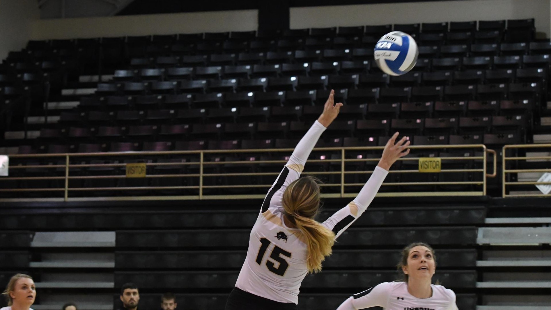 Rachel Heussner - Volleyball - Harding University Athletics